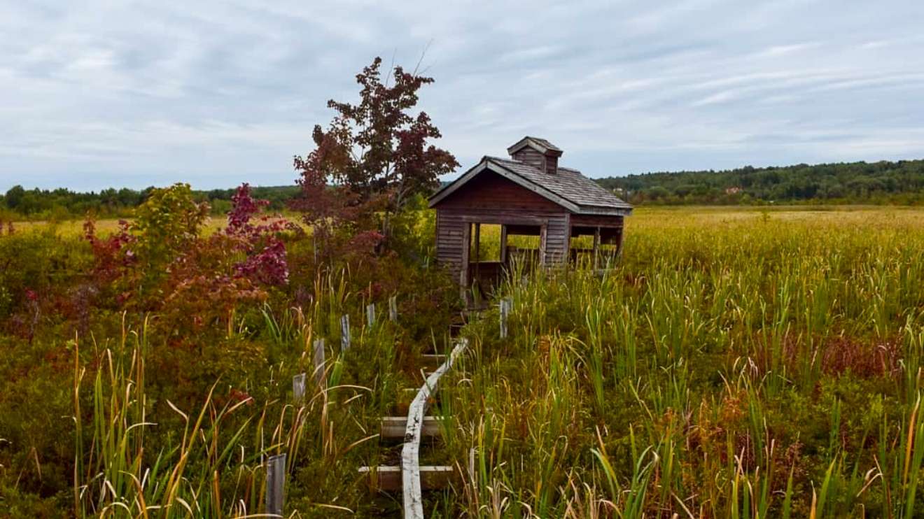 La Flambée des couleurs - Centre-ville de Magog