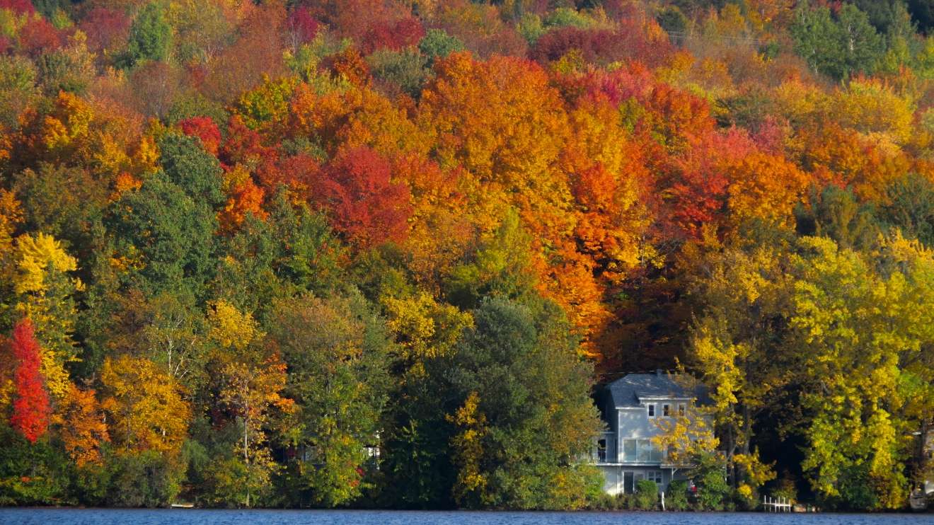 La Flambée des couleurs - Centre-ville de Magog
