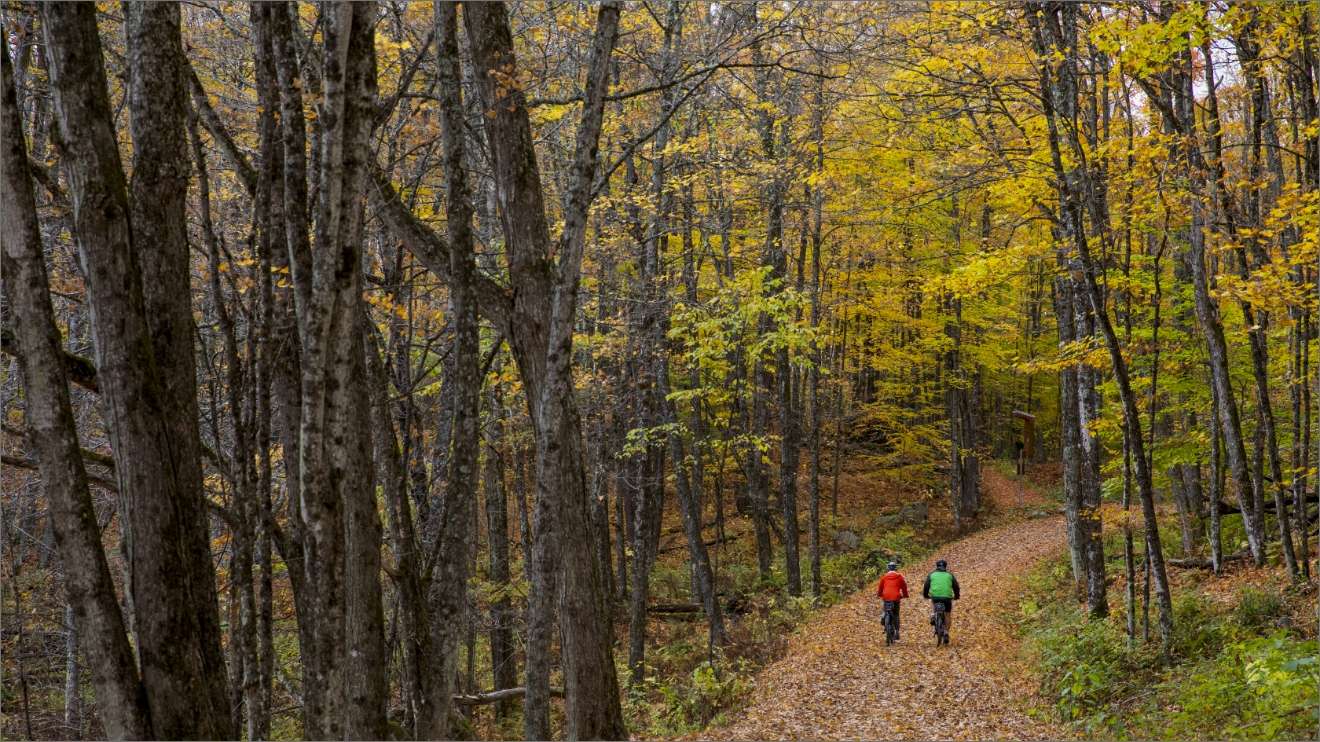 La Flambée des couleurs - Parc national du Mont-Orford